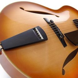 Luthiers | Fine Archtops