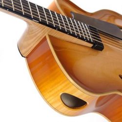 Luthiers | Fine Archtops
